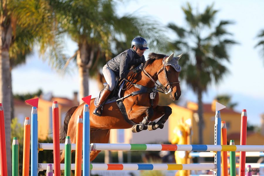 Inicio - TIBO Equestrian