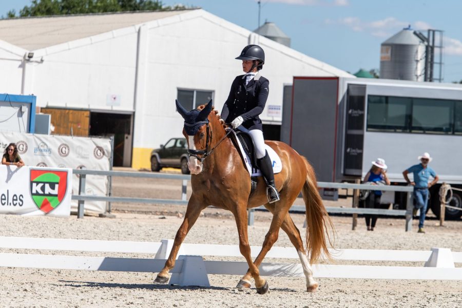 Inicio - TIBO Equestrian