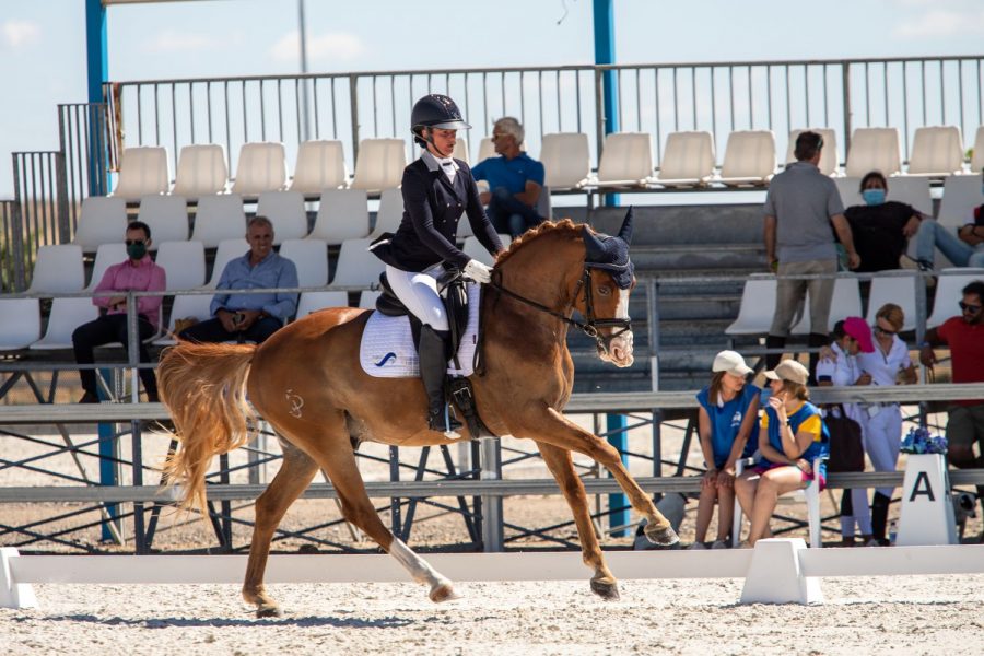 Inicio - TIBO Equestrian